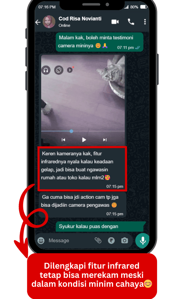 Microview Mini HD Cam